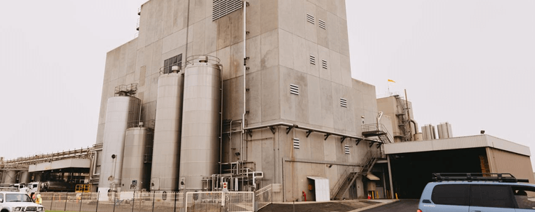 Saputo lifts milk price - Happy Valley Dairy